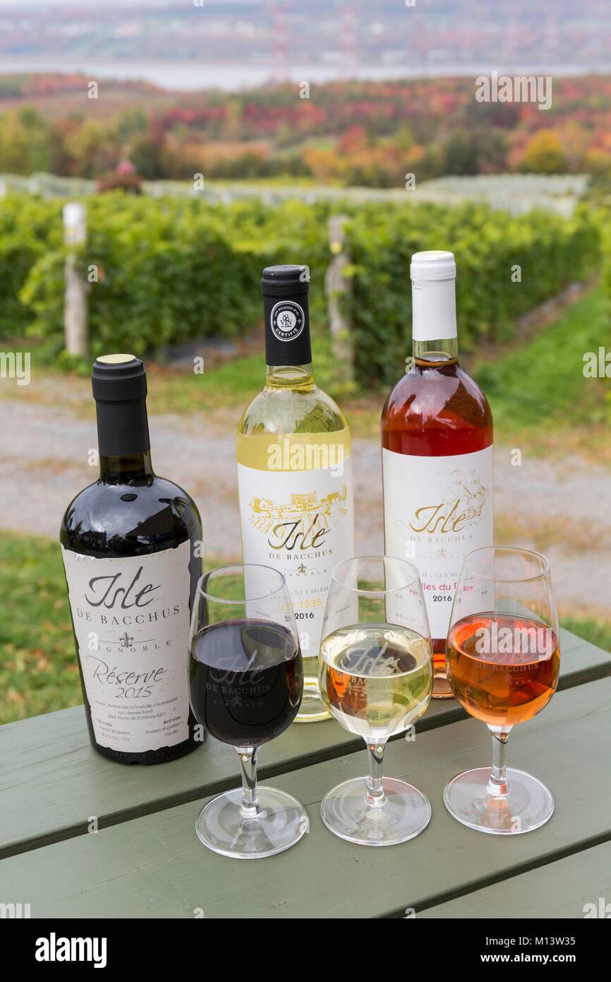 Canada, province of Quebec, the region of Quebec City, the island of ...