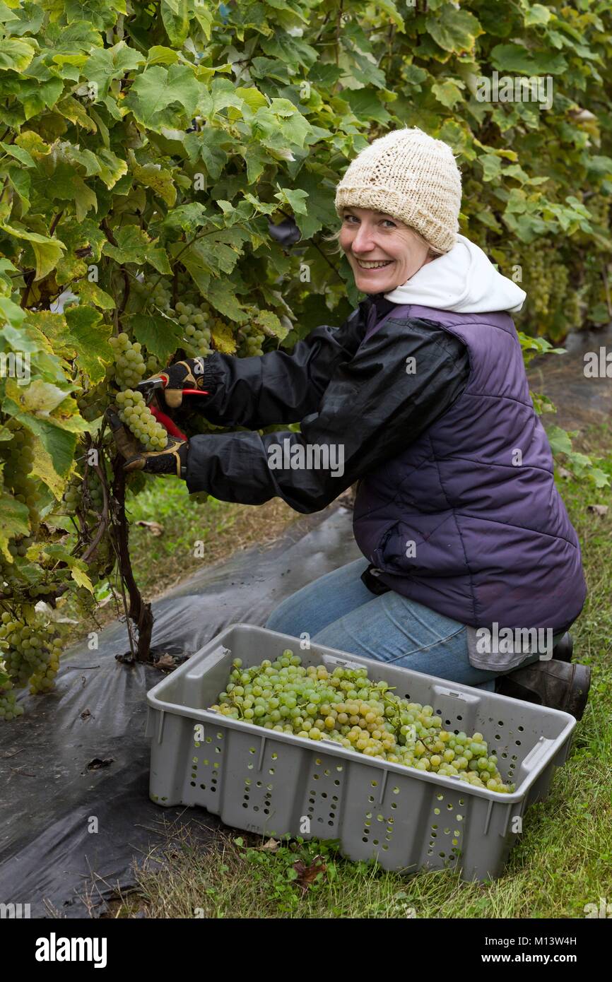 Canada, Province of Quebec, Outaouais, Pontiac region, Clarendon, Le ...
