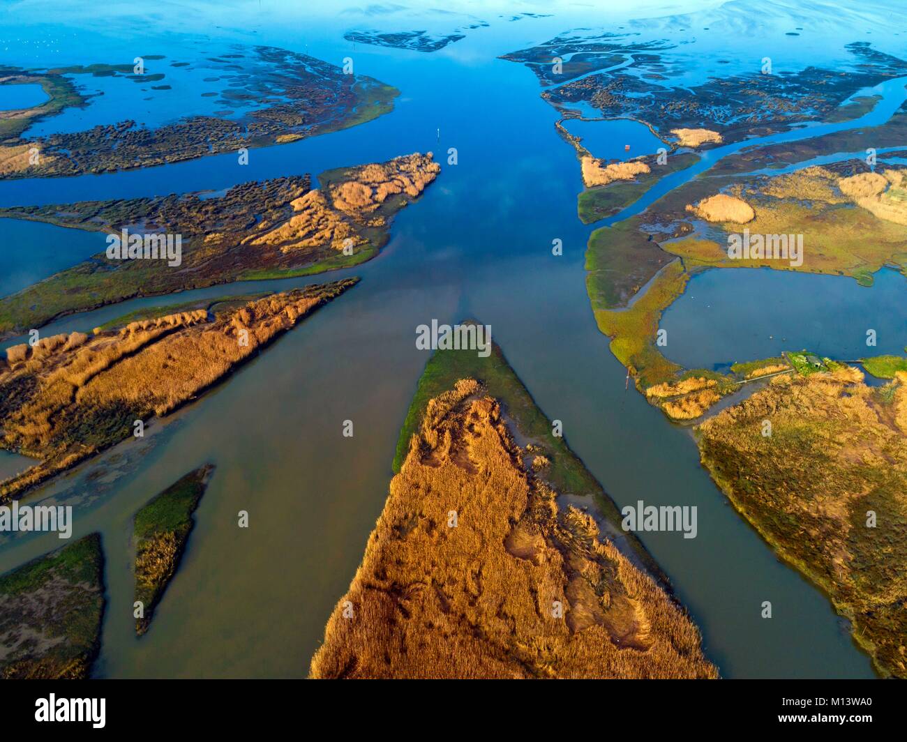 France, Gironde, Bassin d'Arcachon, Biganos, the delta of the Leyre ...