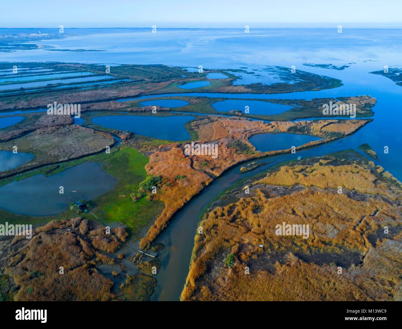 France, Gironde, Bassin d'Arcachon, Biganos, the delta of the Leyre ...