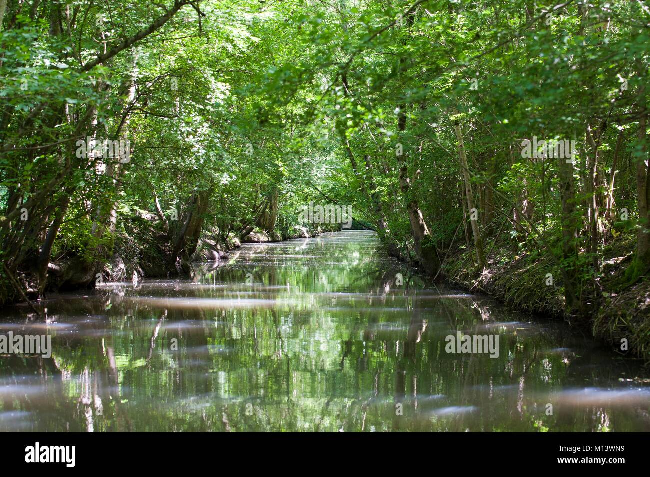 France, Deux Sevres, Arcais, Marais Poitevin interregional park labeled ...