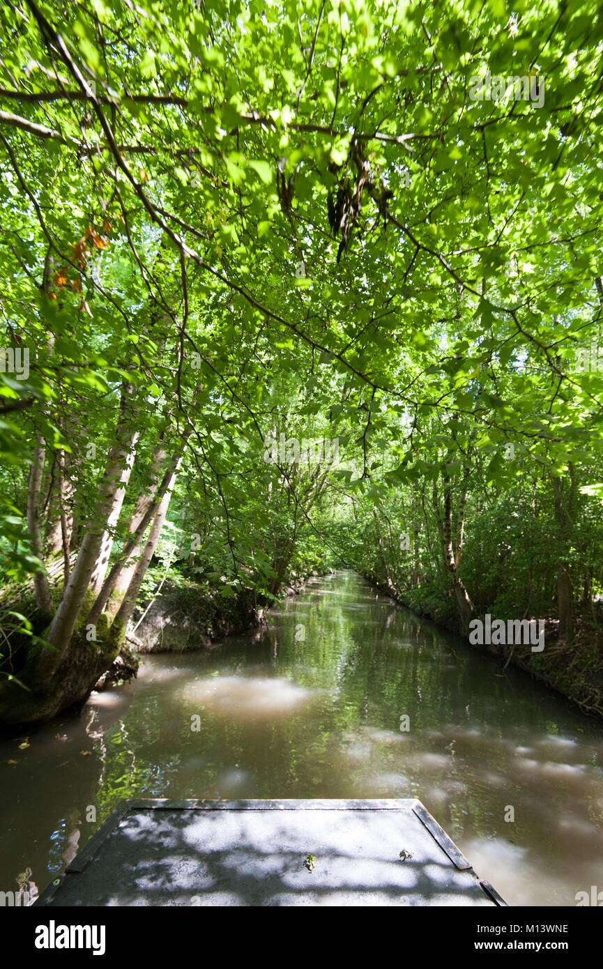 France, Deux Sevres, Arcais, Marais Poitevin interregional park labeled ...