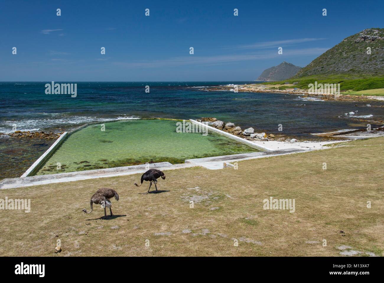 South Africa, Western Cape, Cape Peninsula, Buffels Bay Picnic Site and ...