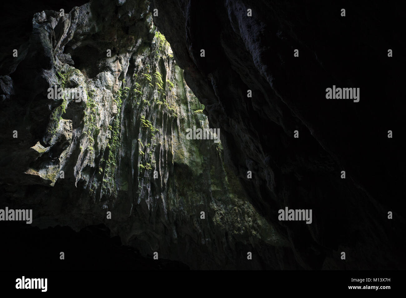 Cave opening hi-res stock photography and images - Alamy