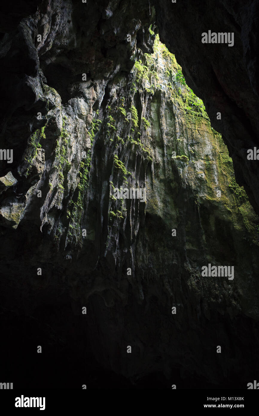 Cave opening hi-res stock photography and images - Alamy