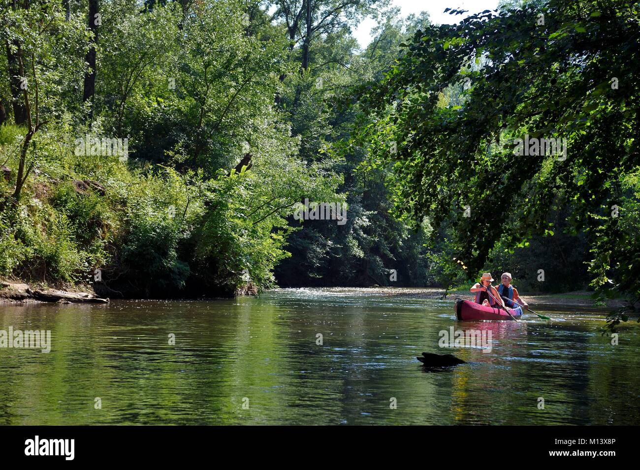 France, Var, Provence Verte, canoeing on the river Argens between ...