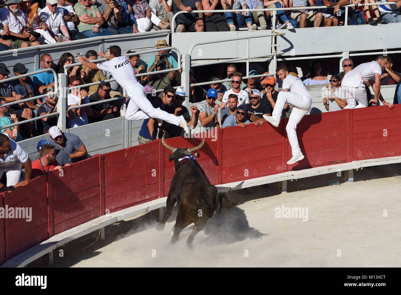 Cocarde High Resolution Stock Photography and Images - Alamy