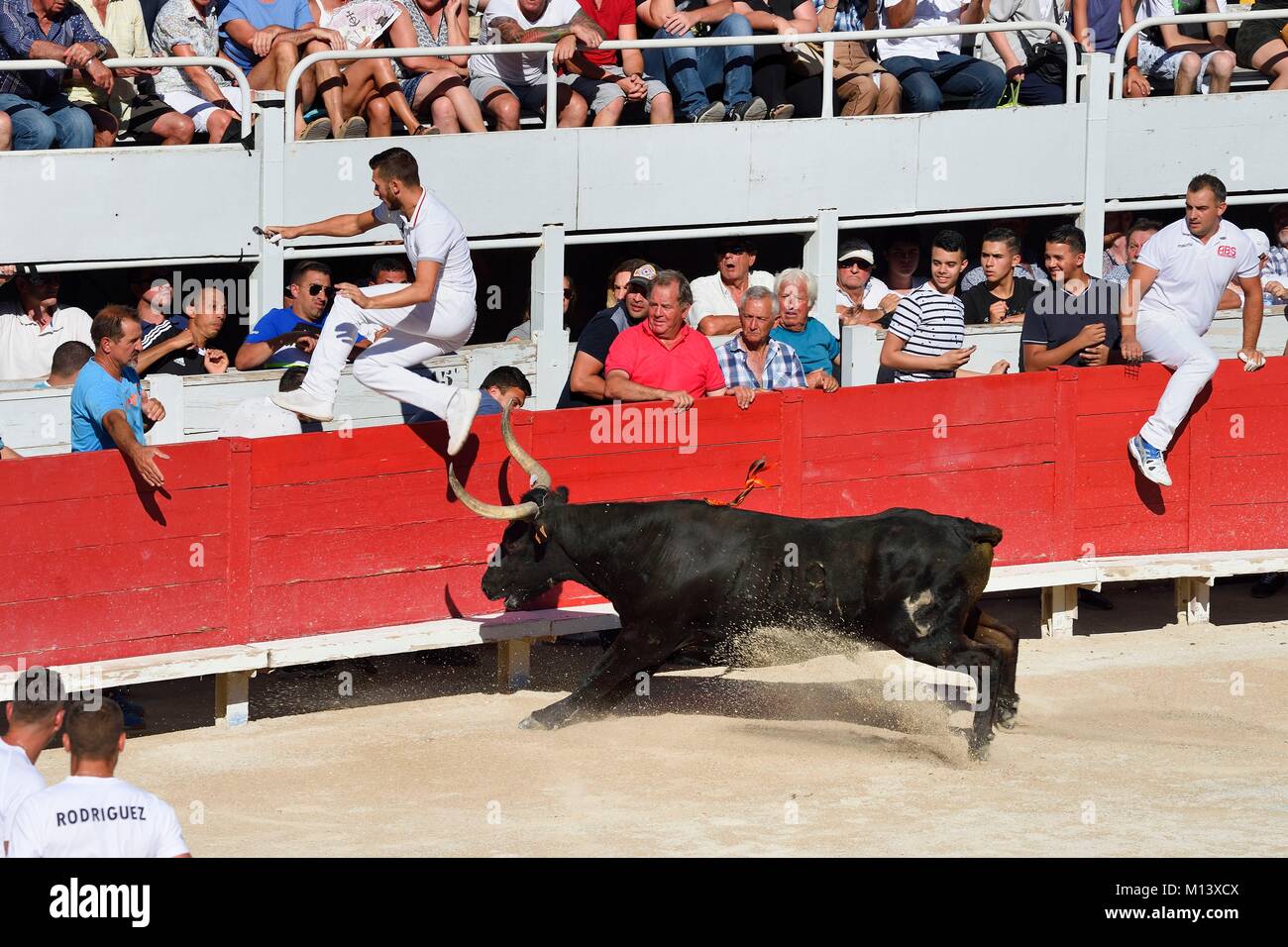 Cocarde hi-res stock photography and images - Alamy