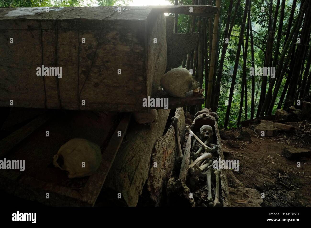 Mummified head hi-res stock photography and images - Alamy