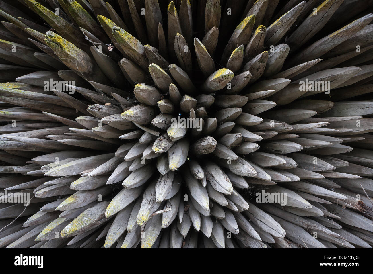 Old fence poles stacked Stock Photo - Alamy