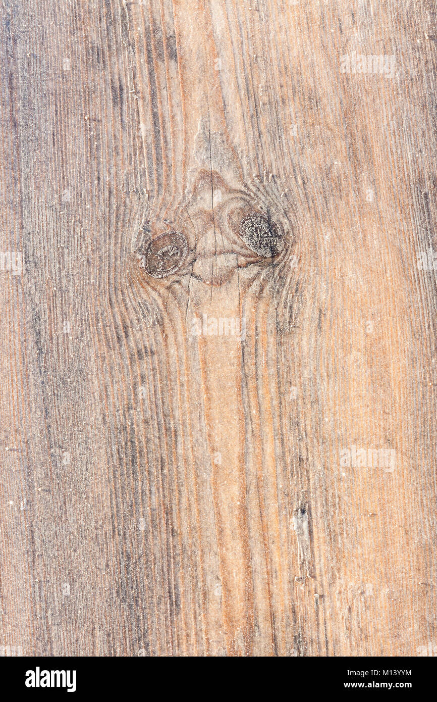 Frost tree texture Stock Photo - Alamy