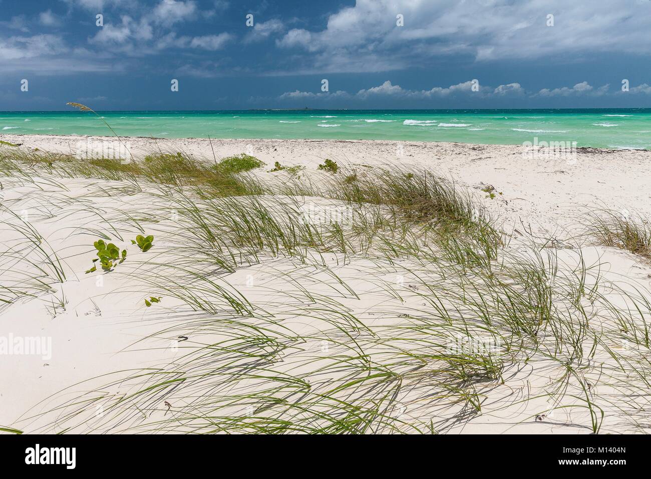 Cuba, Villa Clara province, Jardines del Rey, Cayo Santa Maria Stock ...