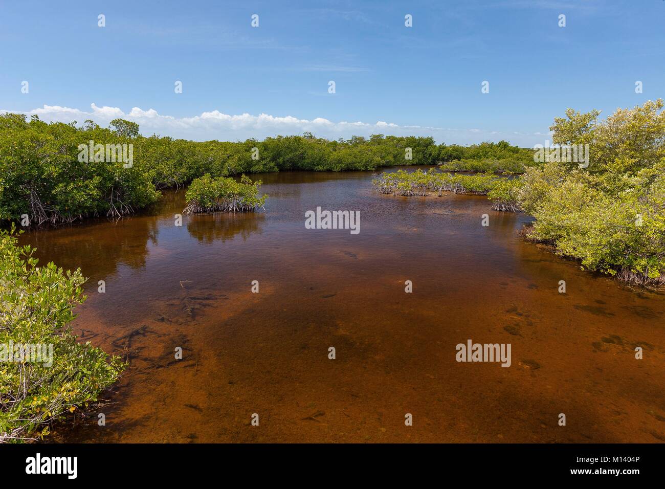 Cuba, Villa Clara province, Jardines del Rey, Cayo Santa Maria Stock ...