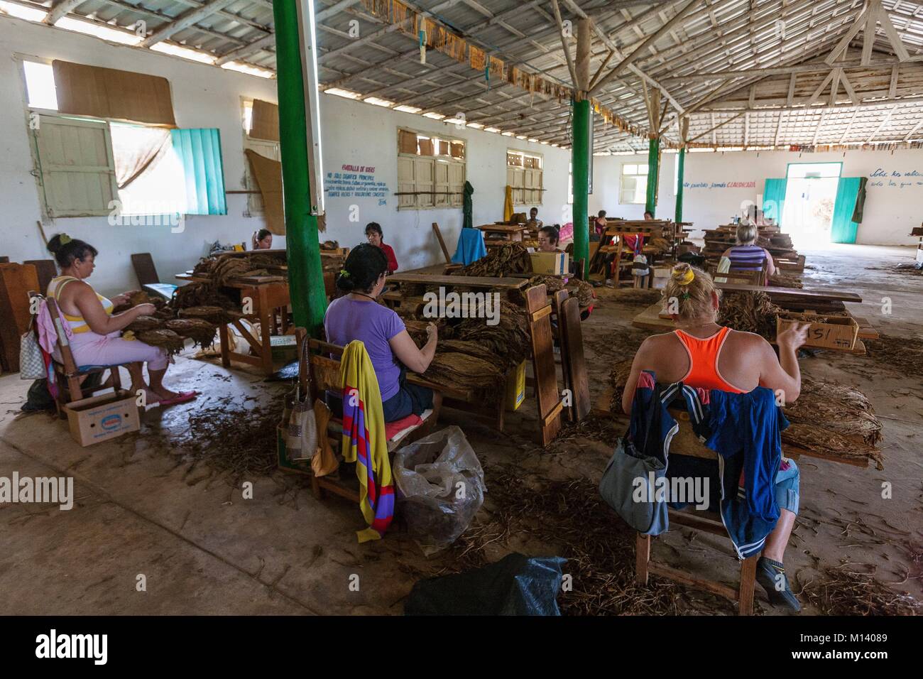 Cuba, Province of Pinar del Rio, Vinales, Vinales Valley, Vinales ...