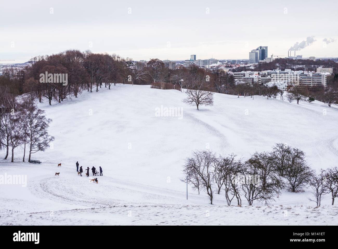 Munich city snow hi-res stock photography and images - Alamy