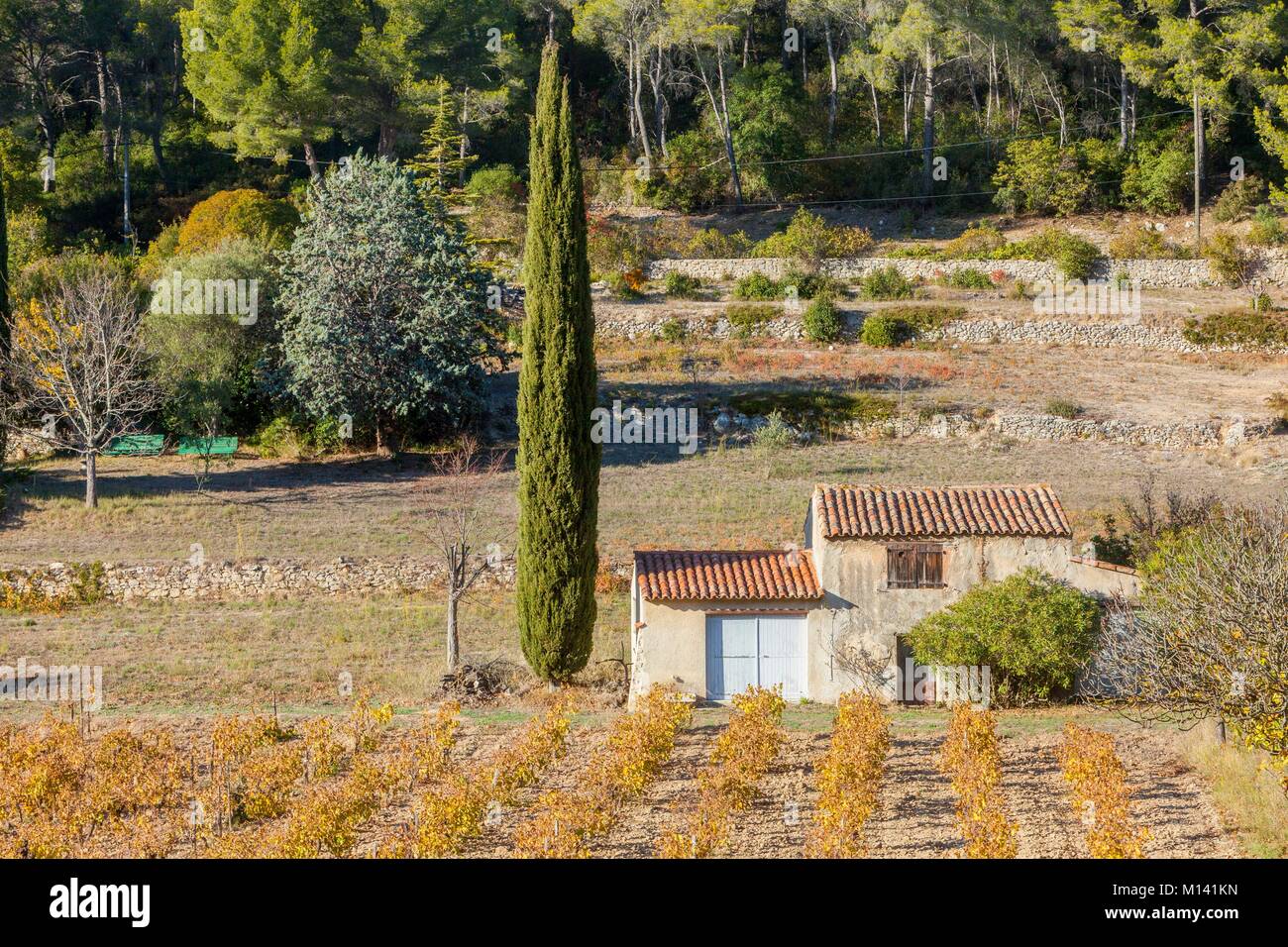 France, Bouches du Rhone, the vineyard of Cassis in autumn Stock Photo ...