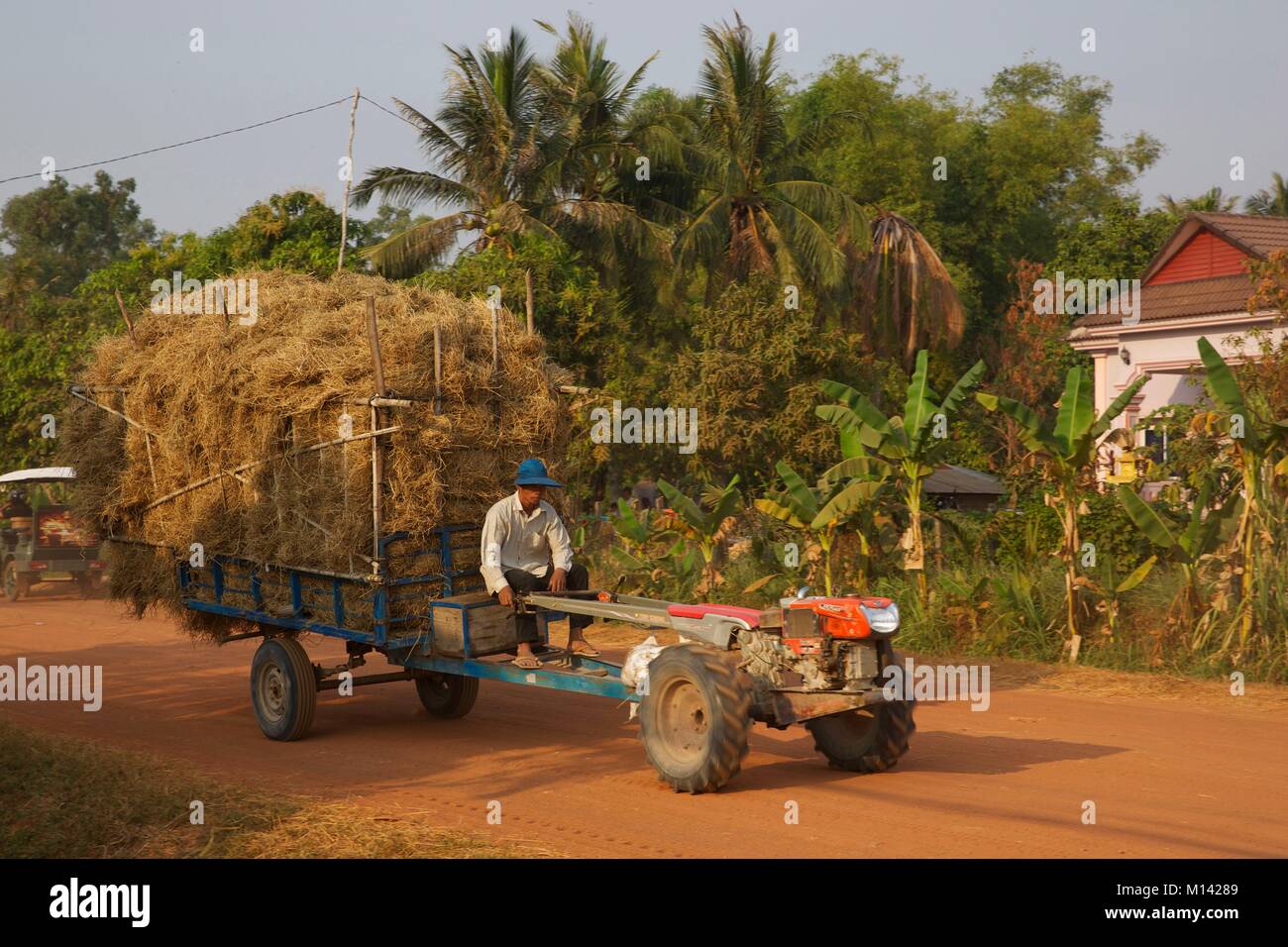 Straw craft hi-res stock photography and images - Alamy