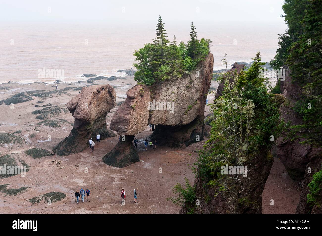 Canada, New Brunswick, Bay of Fundy, Hopewell Rocks, highest tides in ...
