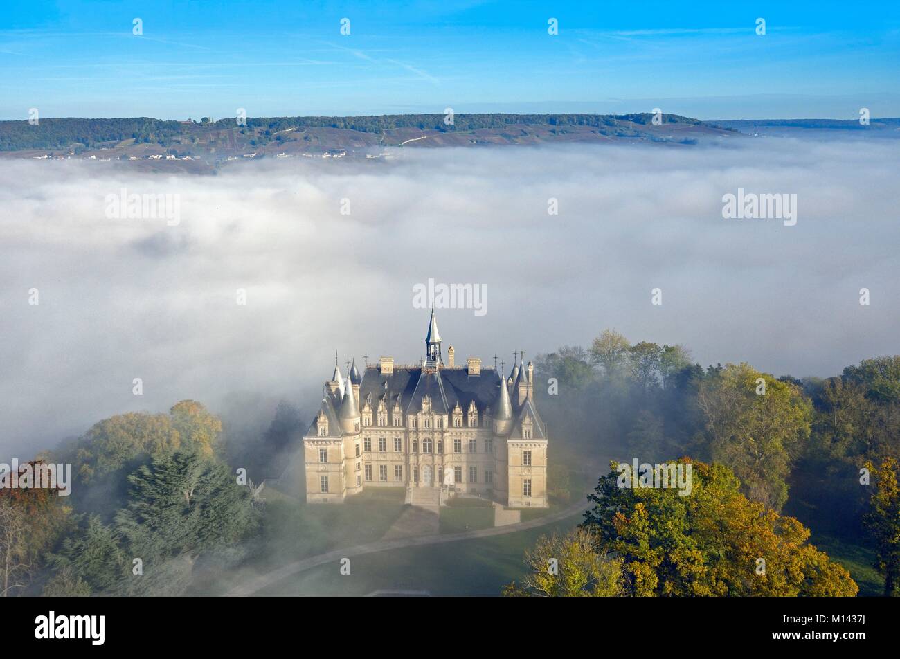 France, Marne, Boursault, the wine producing castle commissioned by ...