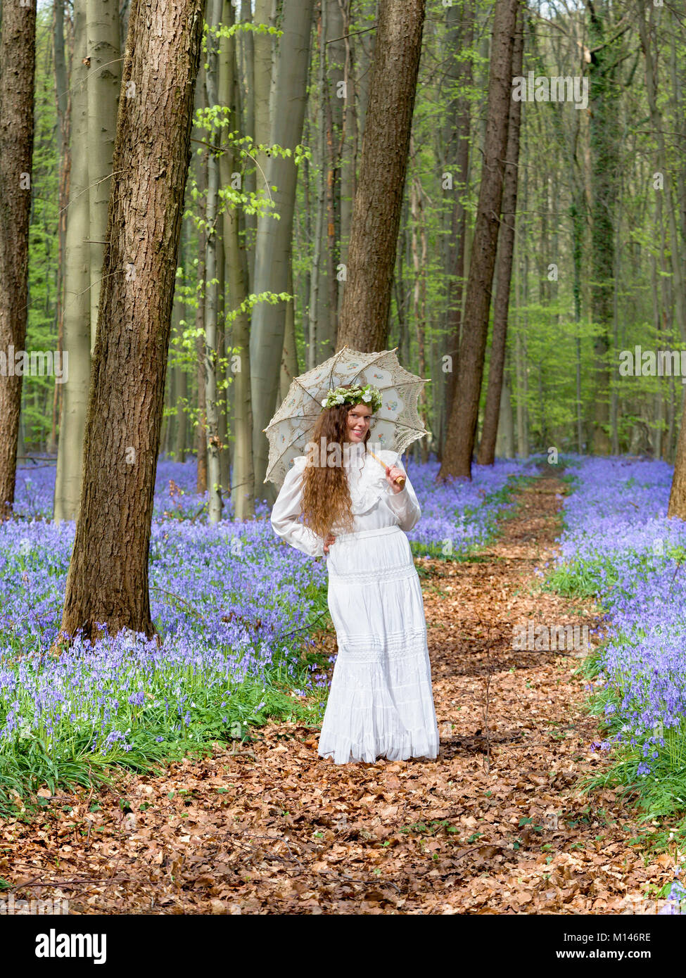 Victorian woman in white dress in a springtime bluebells forest Stock ...