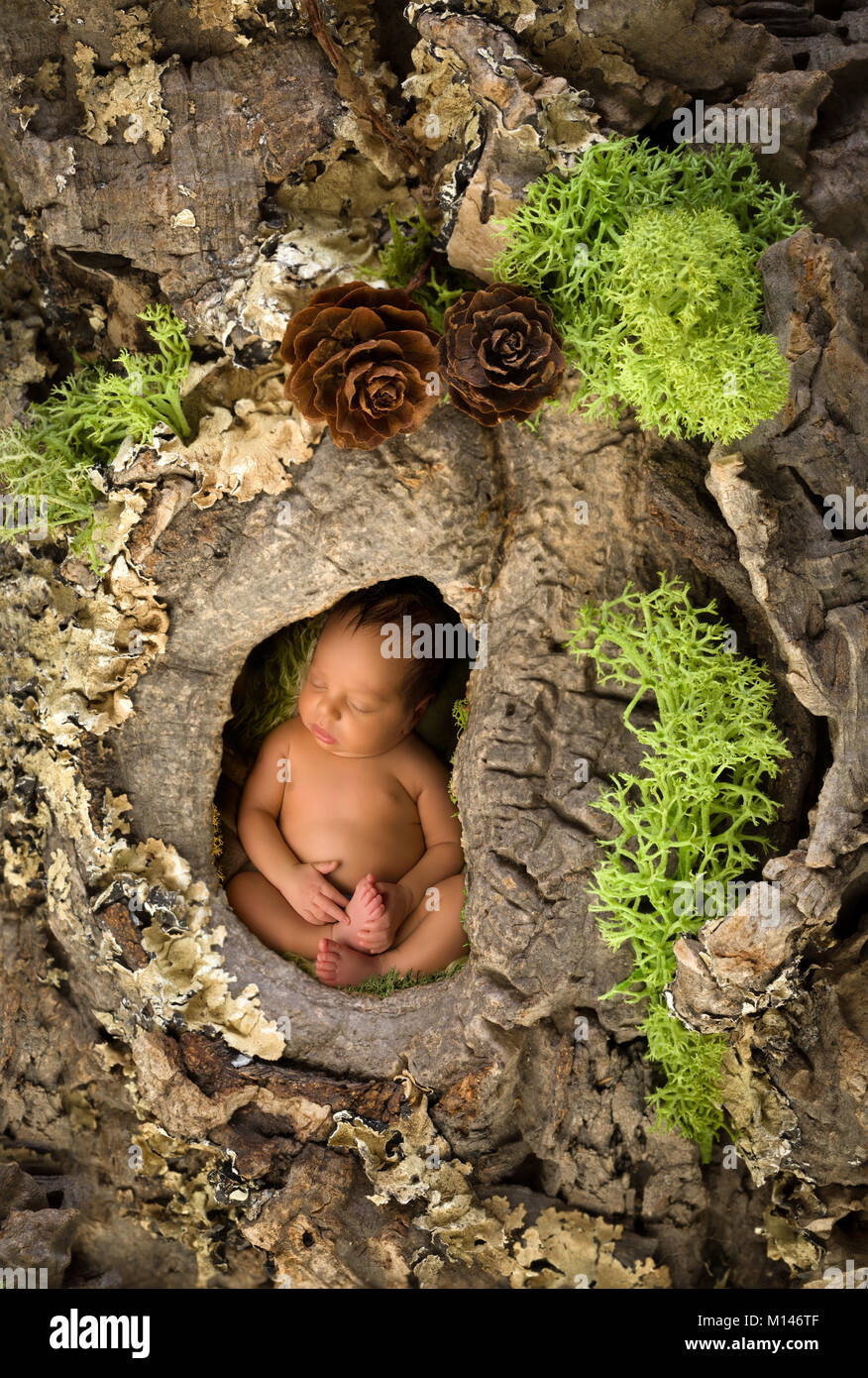 Dreambaby hi-res stock photography and images - Alamy