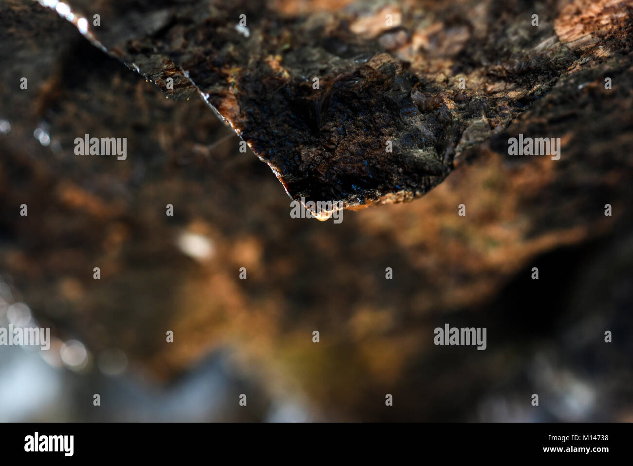 A drop of water flowing in the cave ceiling Stock Photo - Alamy