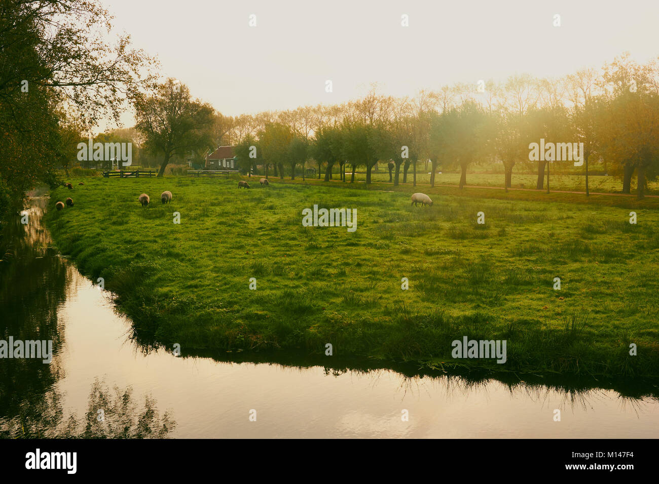 Rural canal scene hi-res stock photography and images - Alamy