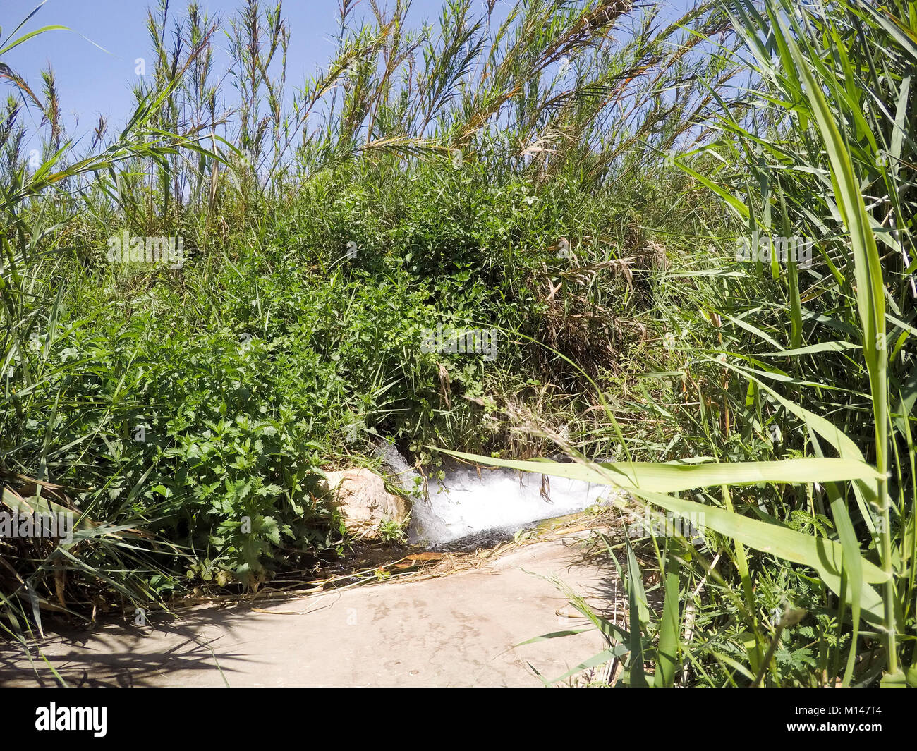 natural Israeli landscape. Photographed in Israel in September Stock ...