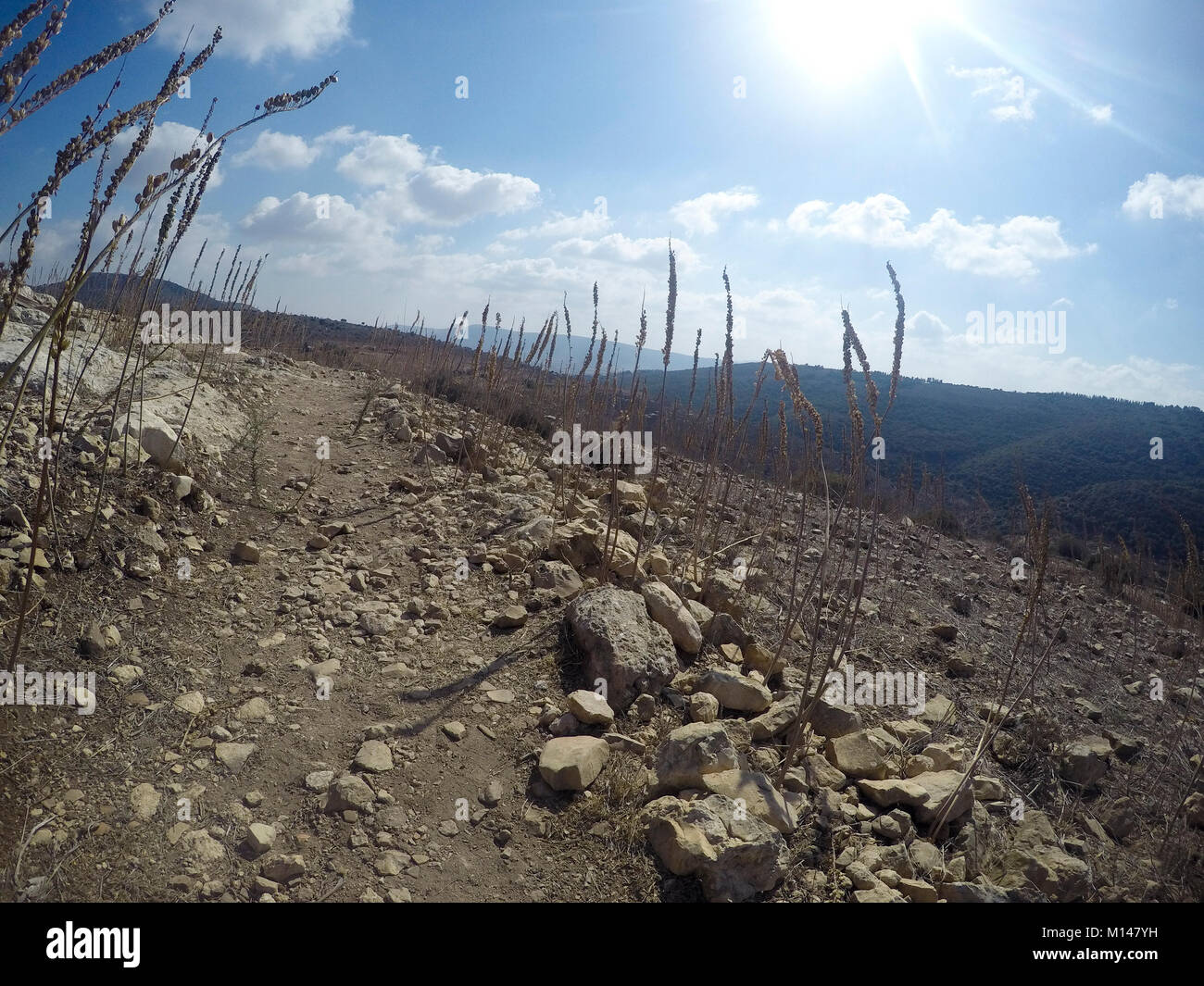 Israel. The Negev desert landscape Stock Photo - Alamy