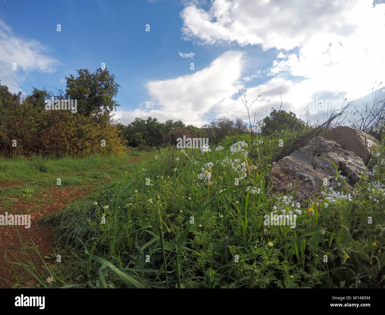 natural Israeli landscape. Photographed in Israel in February Stock ...