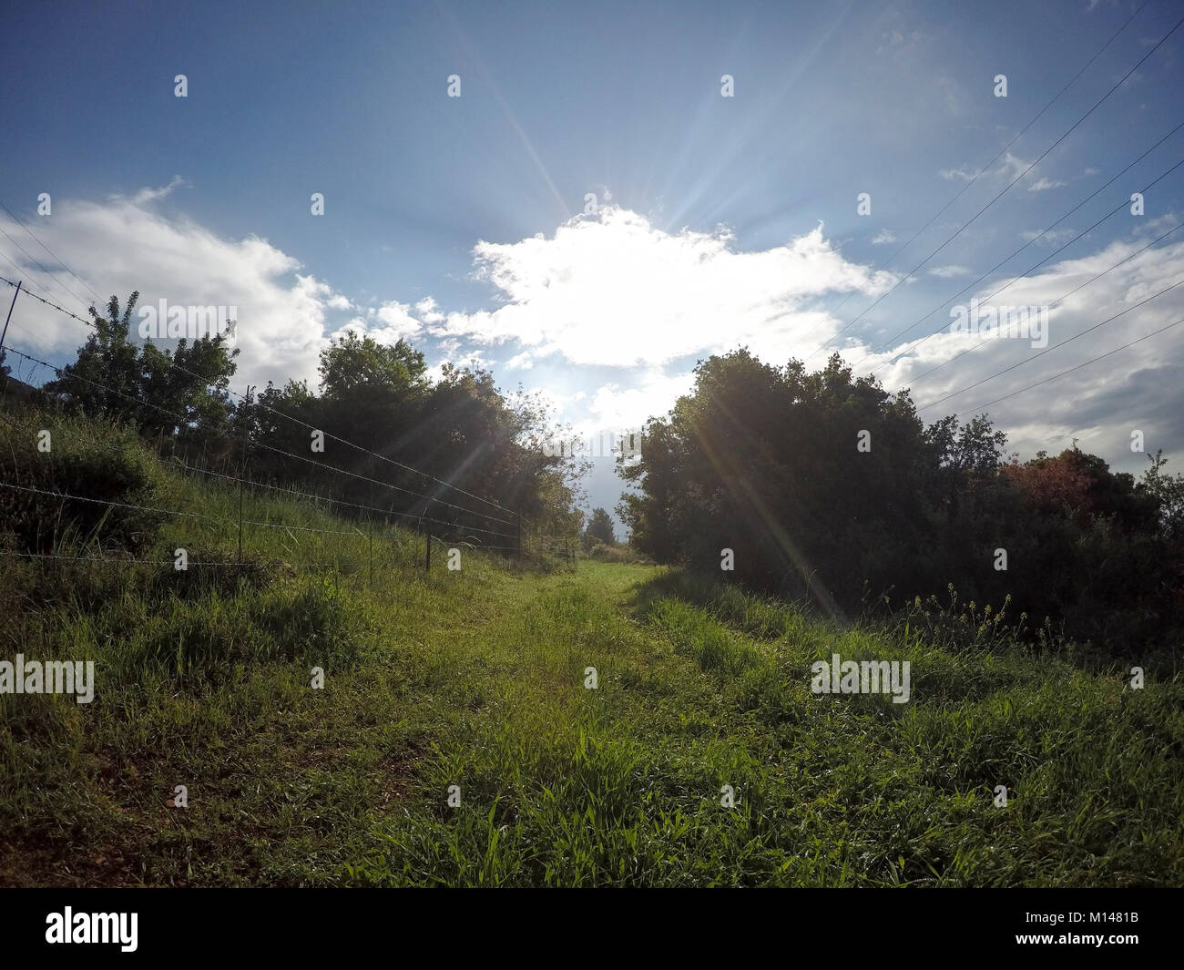 natural Israeli landscape. Photographed in Israel in February Stock ...