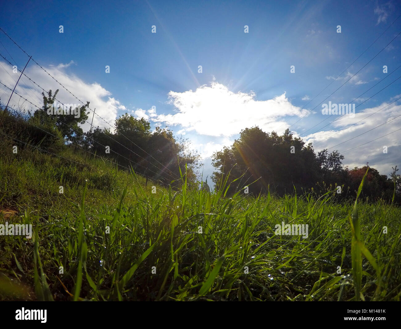 natural Israeli landscape. Photographed in Israel in February Stock ...