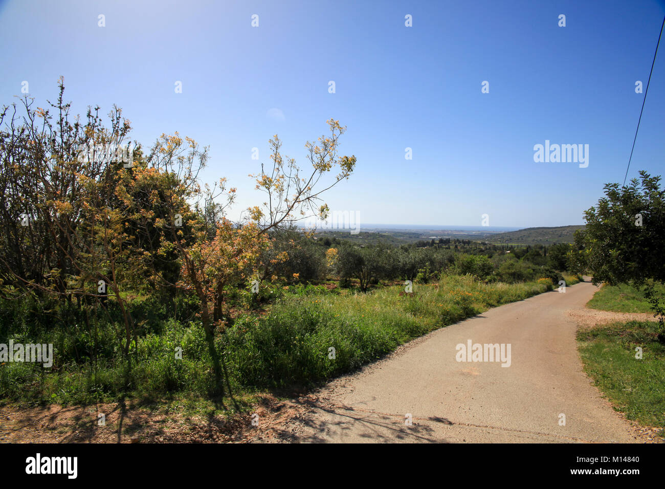 natural Israeli landscape. Photographed in Israel in February Stock ...