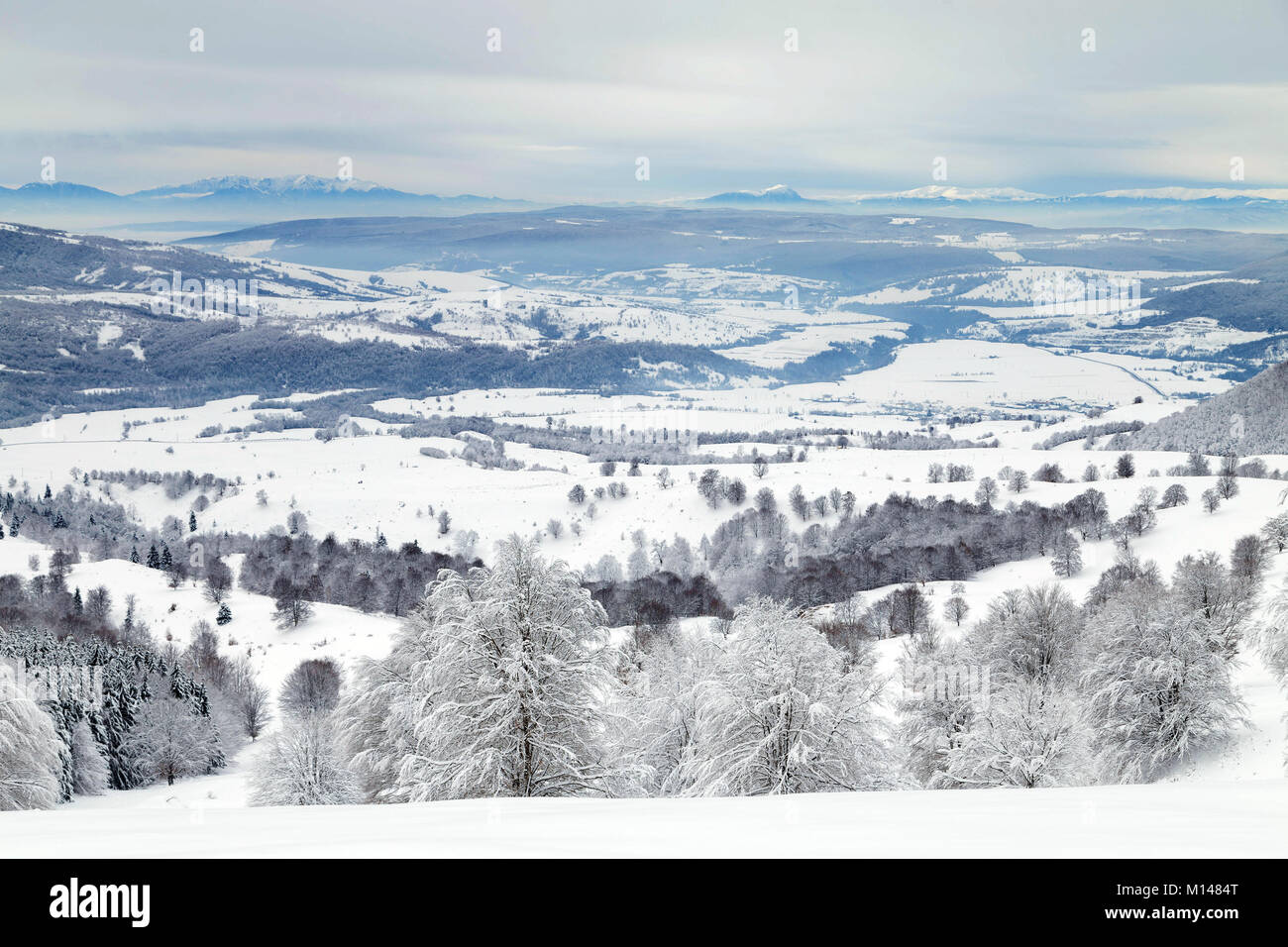 Winter landscape in Transylvania, Romania Stock Photo - Alamy