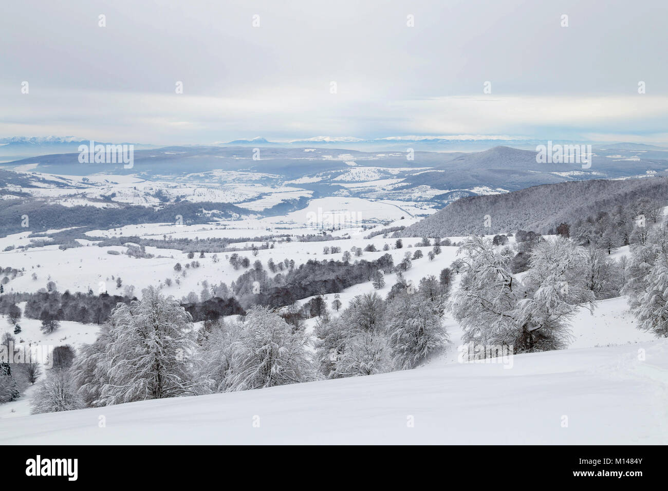 Snowfall in transylvania hi-res stock photography and images - Alamy