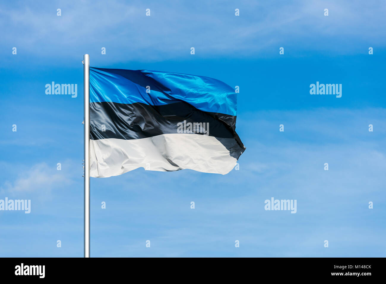 Closeup of single estonian tricolor flag waving in the wind in front of ...