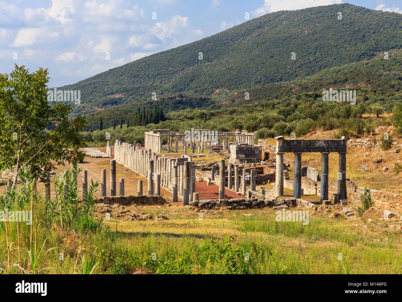 distant view on ruins of stadium in Ancient Messina, Peloponnese (23 ...