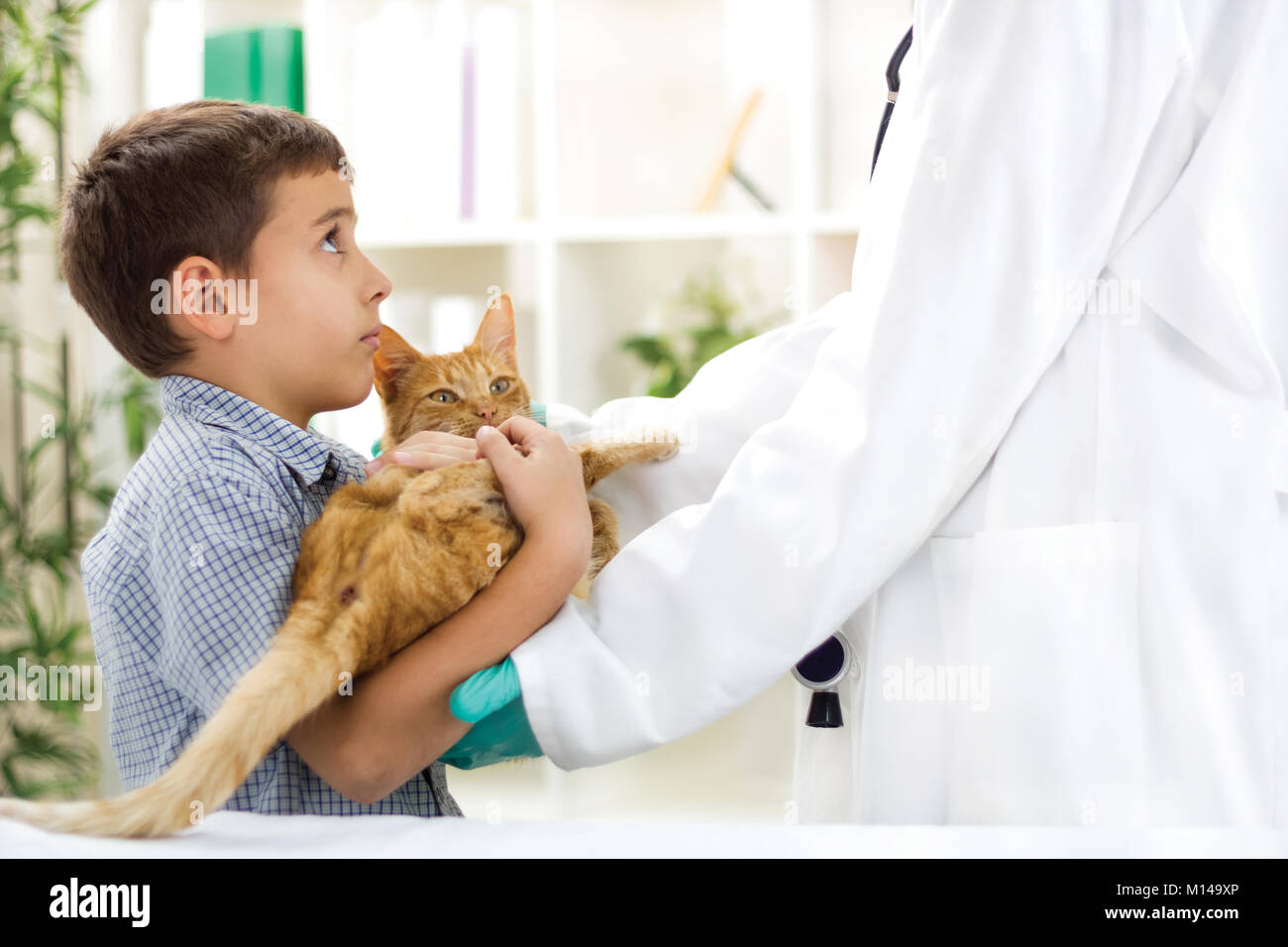 boy looking sad, holding a small cat ,and gives the veterinarian for ...