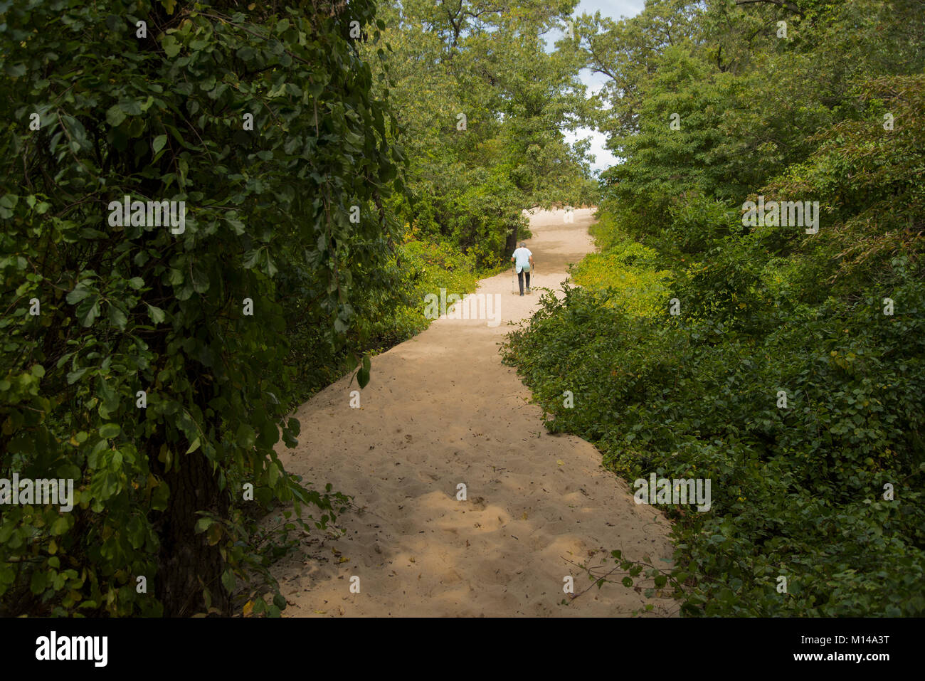 Indiana dunes state park hi-res stock photography and images - Alamy