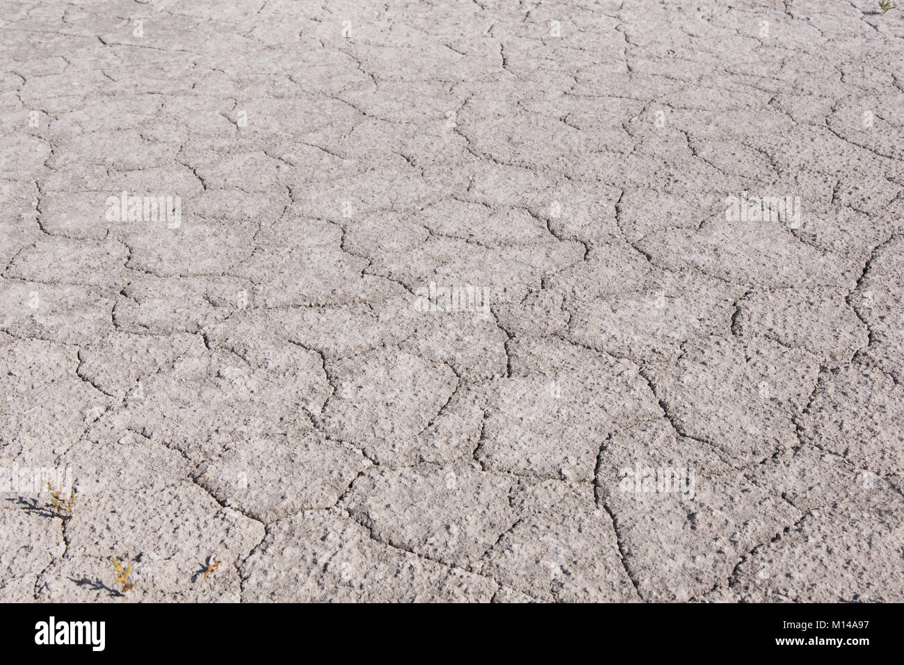 A close-up of the salt brine on the shore line of the Great Salt Lake ...