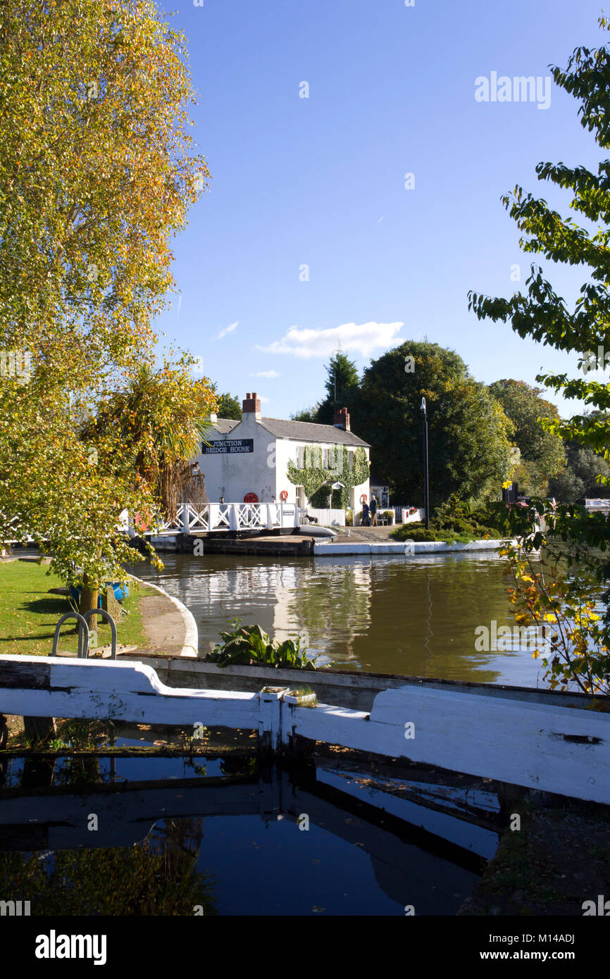 Saul hi-res stock photography and images - Alamy