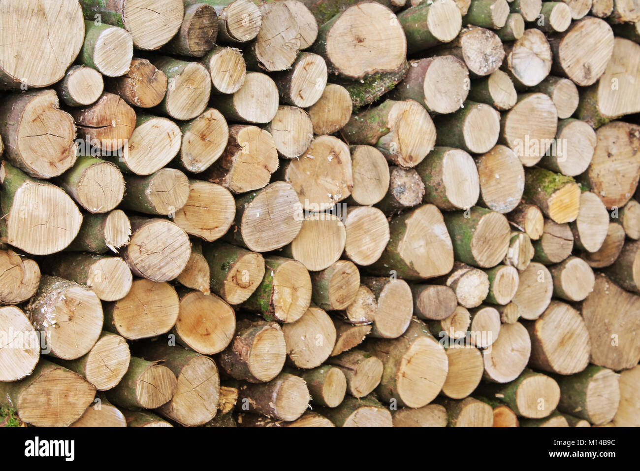 Pile of Logs Stock Photo - Alamy