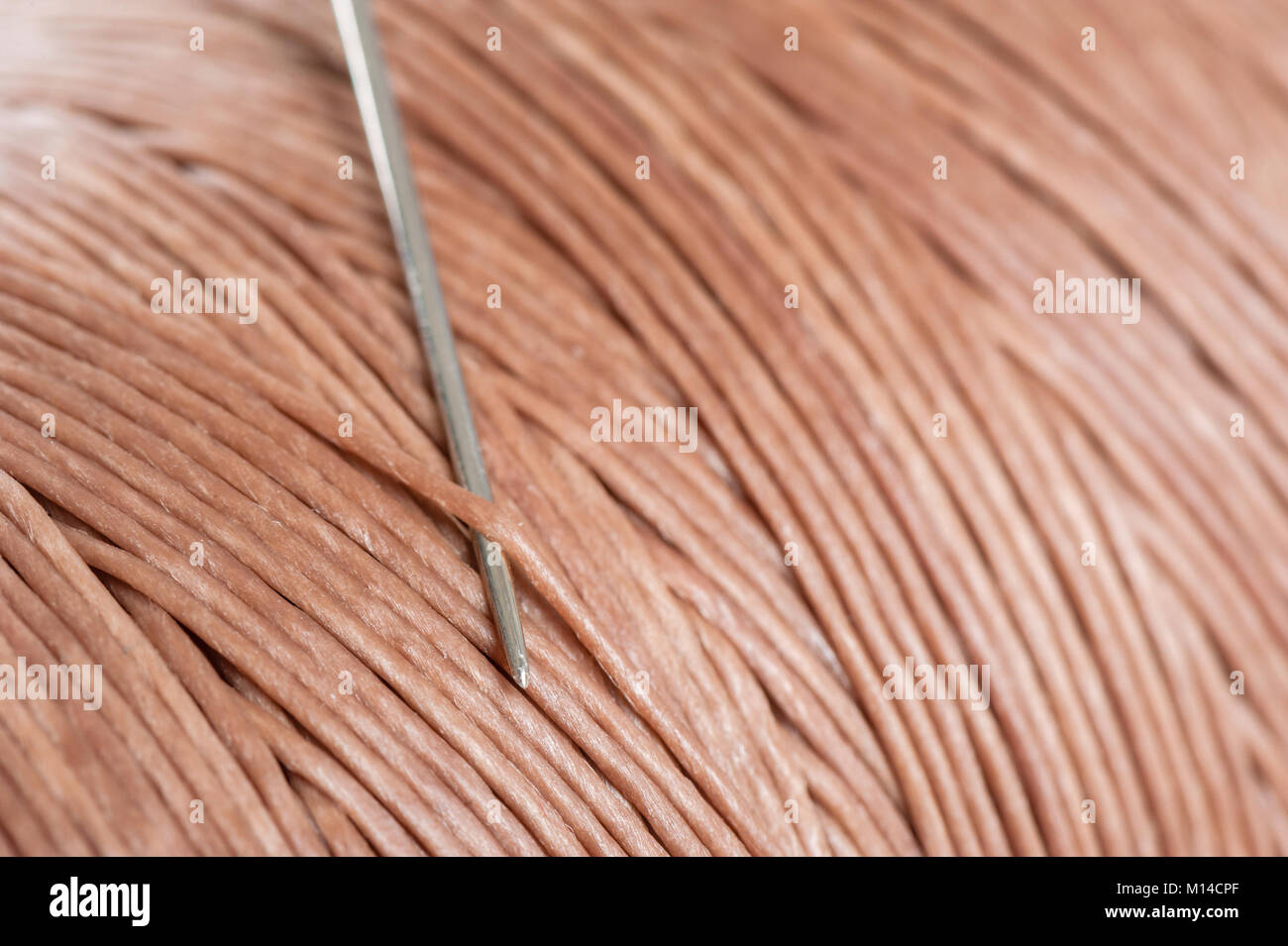 closeup brown waxed thread for hand stitching leather Stock Photo - Alamy
