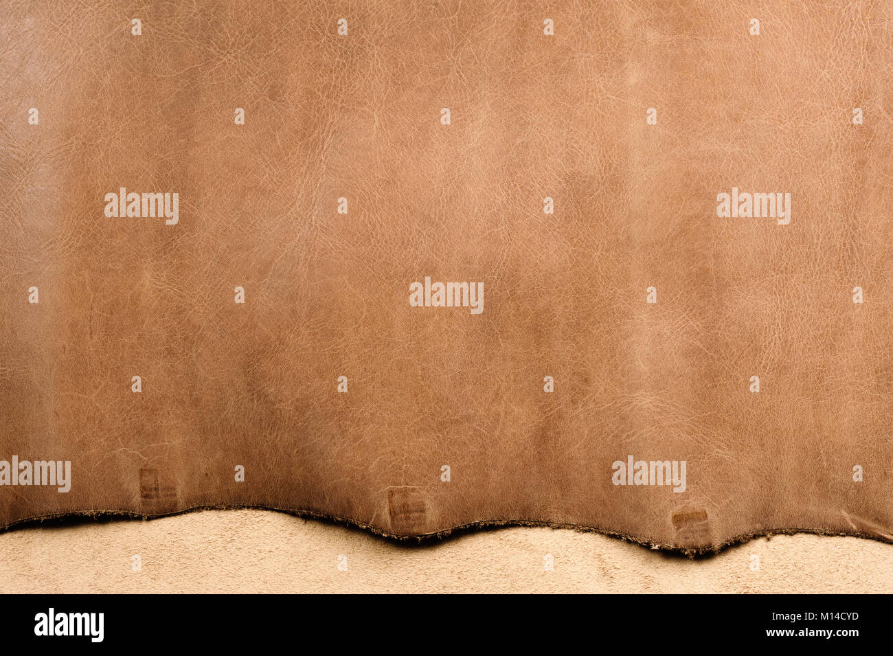 raw material background, closeup details of brown leather texture Stock ...