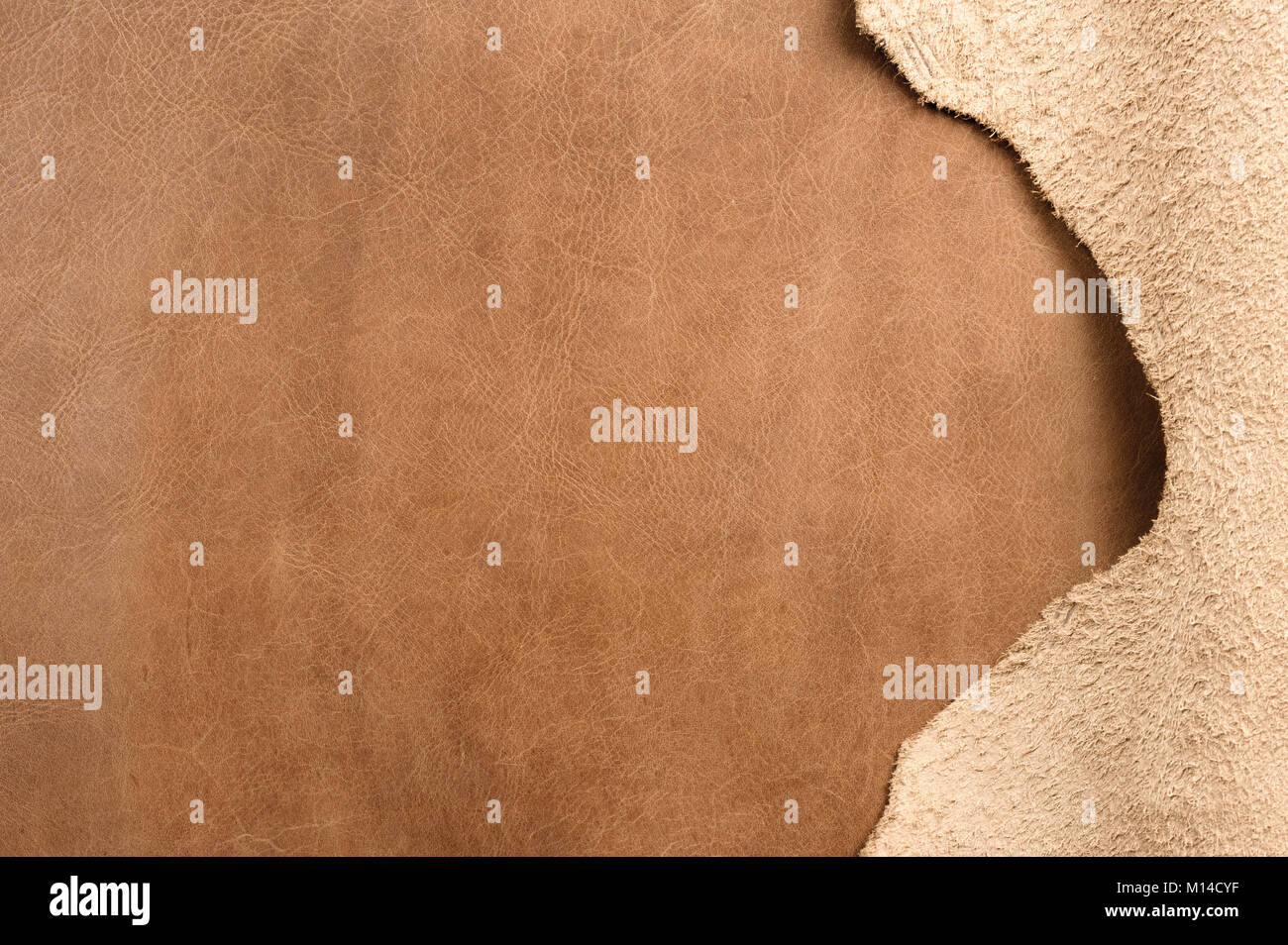 raw material background, closeup details of brown leather texture Stock ...