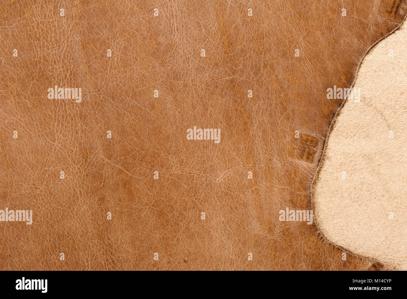 raw material background, closeup details of brown leather texture Stock ...