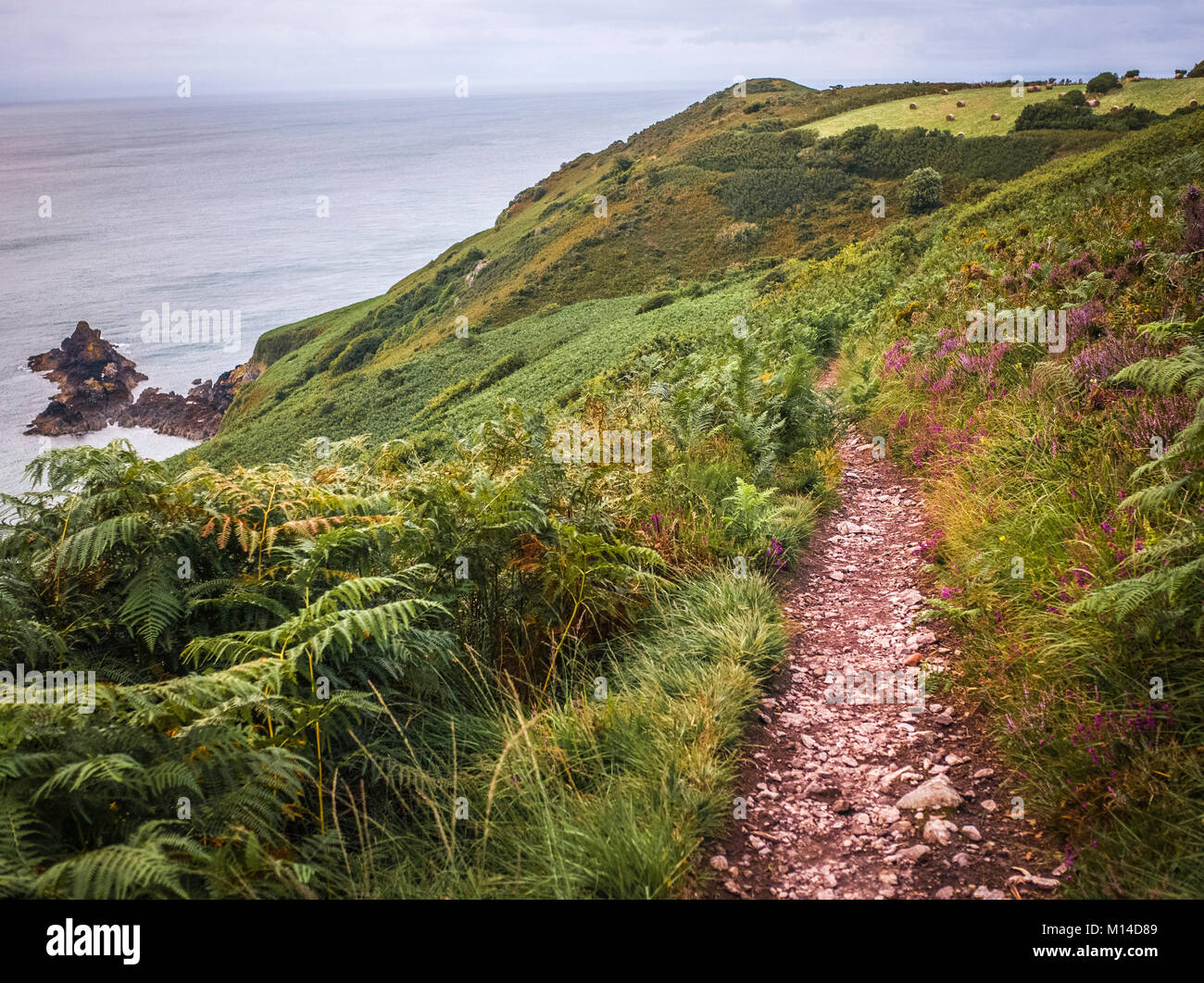 Coastal views of north Jersey Channel Islands Stock Photo - Alamy