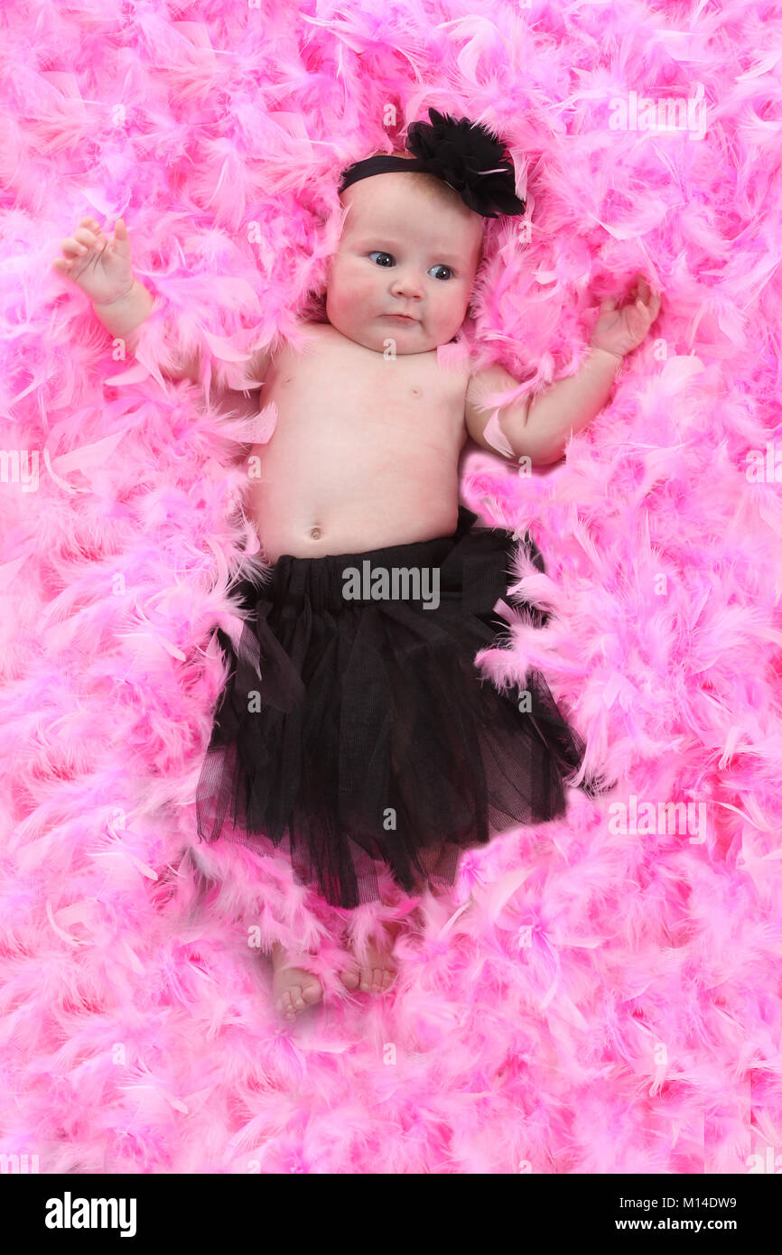 Baby down feathers hi-res stock photography and images - Alamy