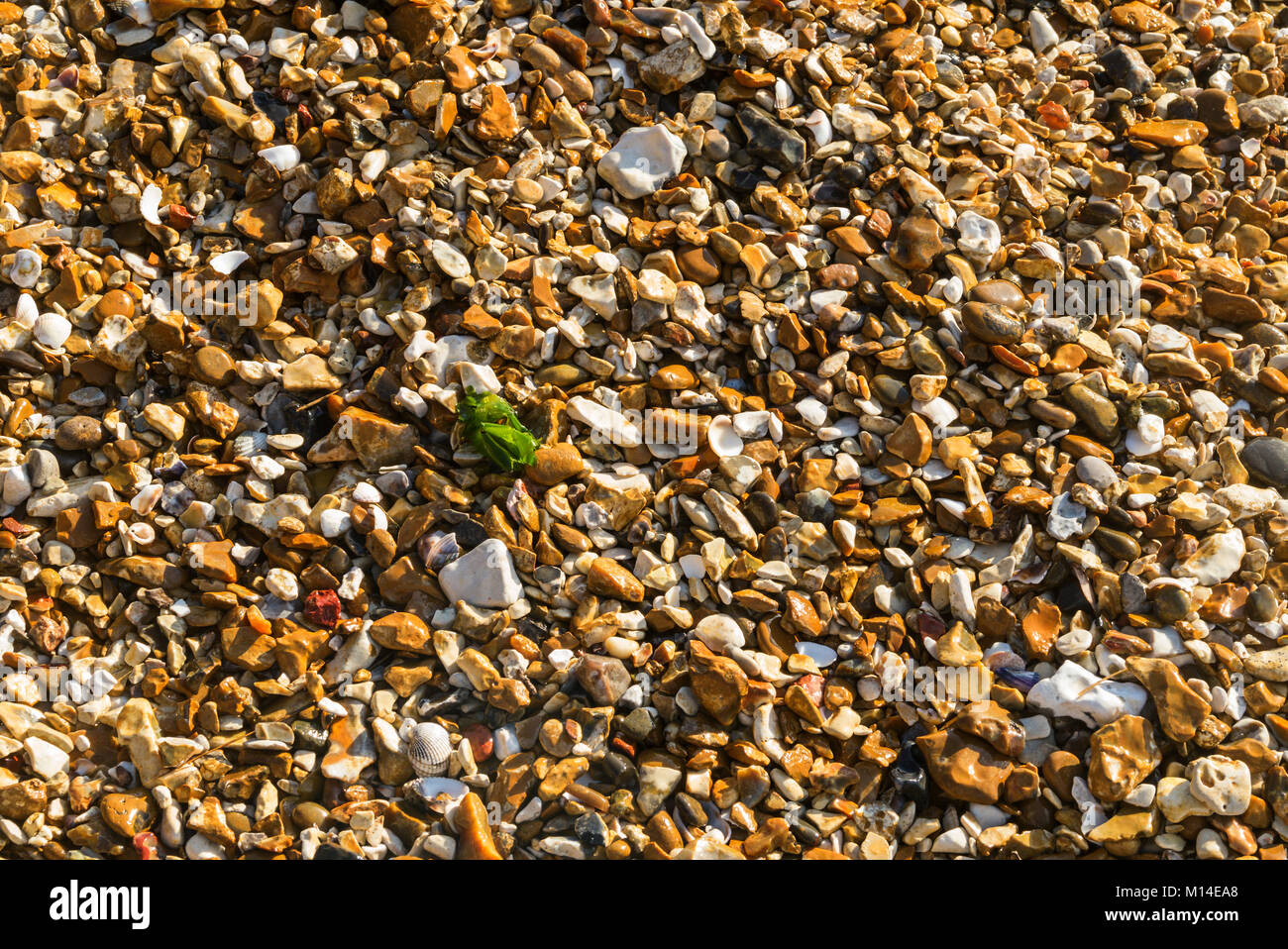 Shingle beach at Meon Shore on the Solent at Titchfield, Hampshire, UK ...