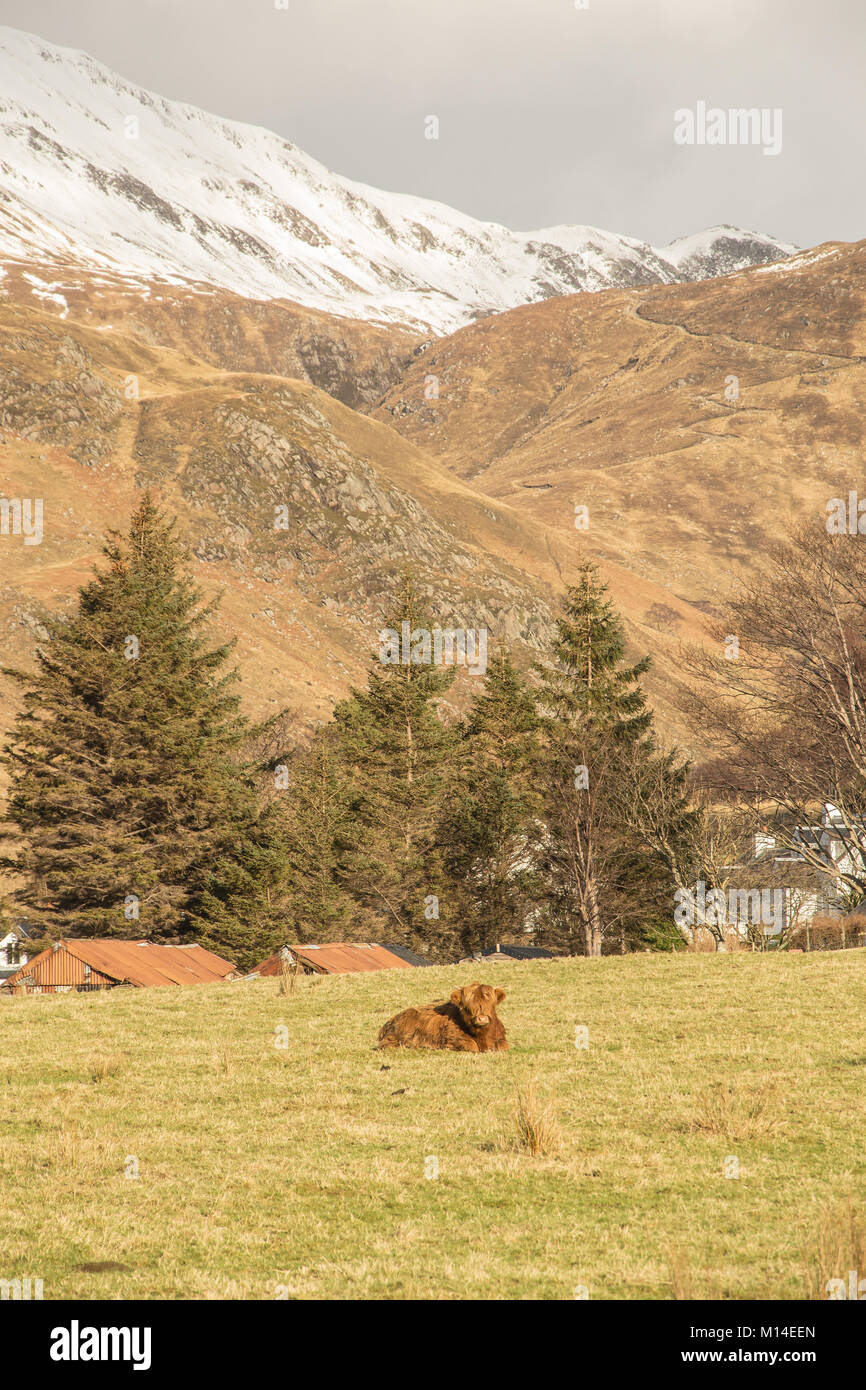 Highlands of Scotland Stock Photo - Alamy